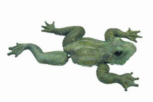 Buy Frog Floater for Sale Online in USA & Canada. – OakValleyDecor