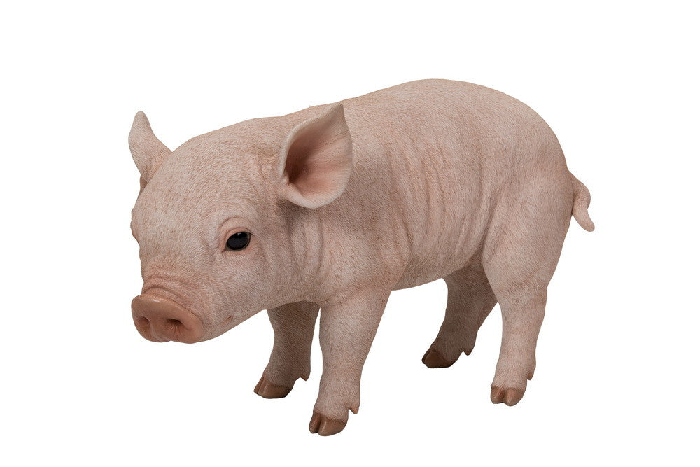 Buy Standing Baby Pig Statue for Sale Online in USA & Canada ...
