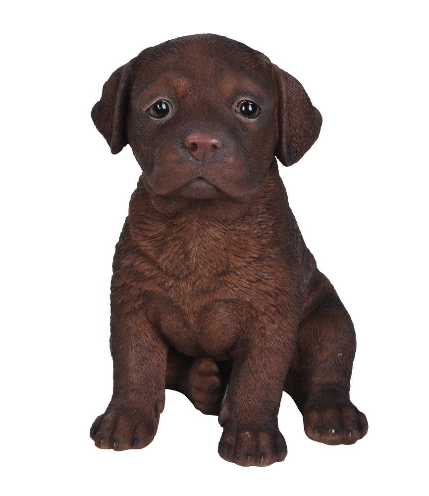 Buy Chocolate Brown Labrador Puppy Statue for Sale Online in USA ...