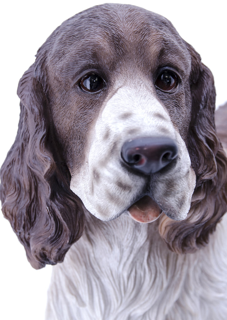 Buy Springer Spaniel Dog Garden Statue for Sale Online in USA & Canada ...